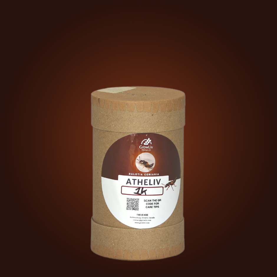 Products – GrowLiv Biologicals